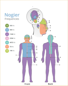 NOGIER FREQUENCIES - Derek Nakamura
